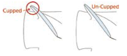 Honda Propellers – Glasgow and Clyde Outboard Services Outboard Engine ...